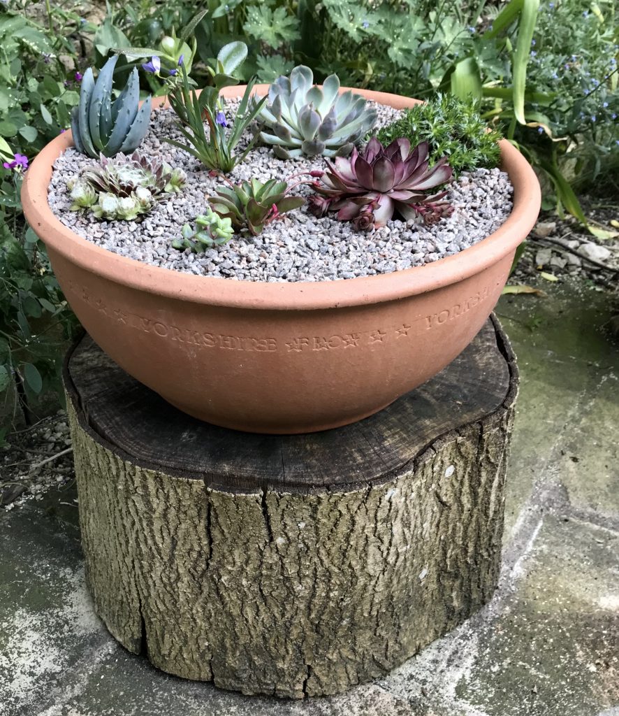 Containers - Making an alpine trough - Cultivated Gardener
